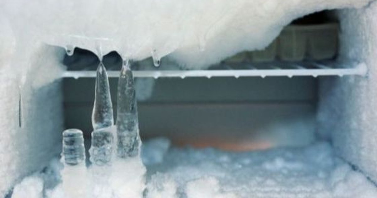 Bukan Kipas Angin, Begini Trik Bersihkan Bunga Es Freezer dengan 1 Alat ...