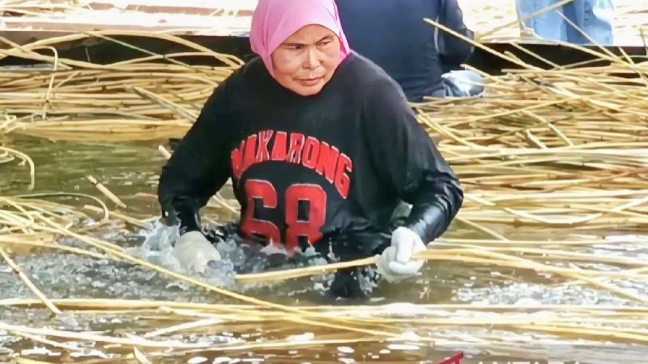 Harga Rotan di Kotim Melonjak Awal 2026, Fenomena Musim Durian Jadi ...