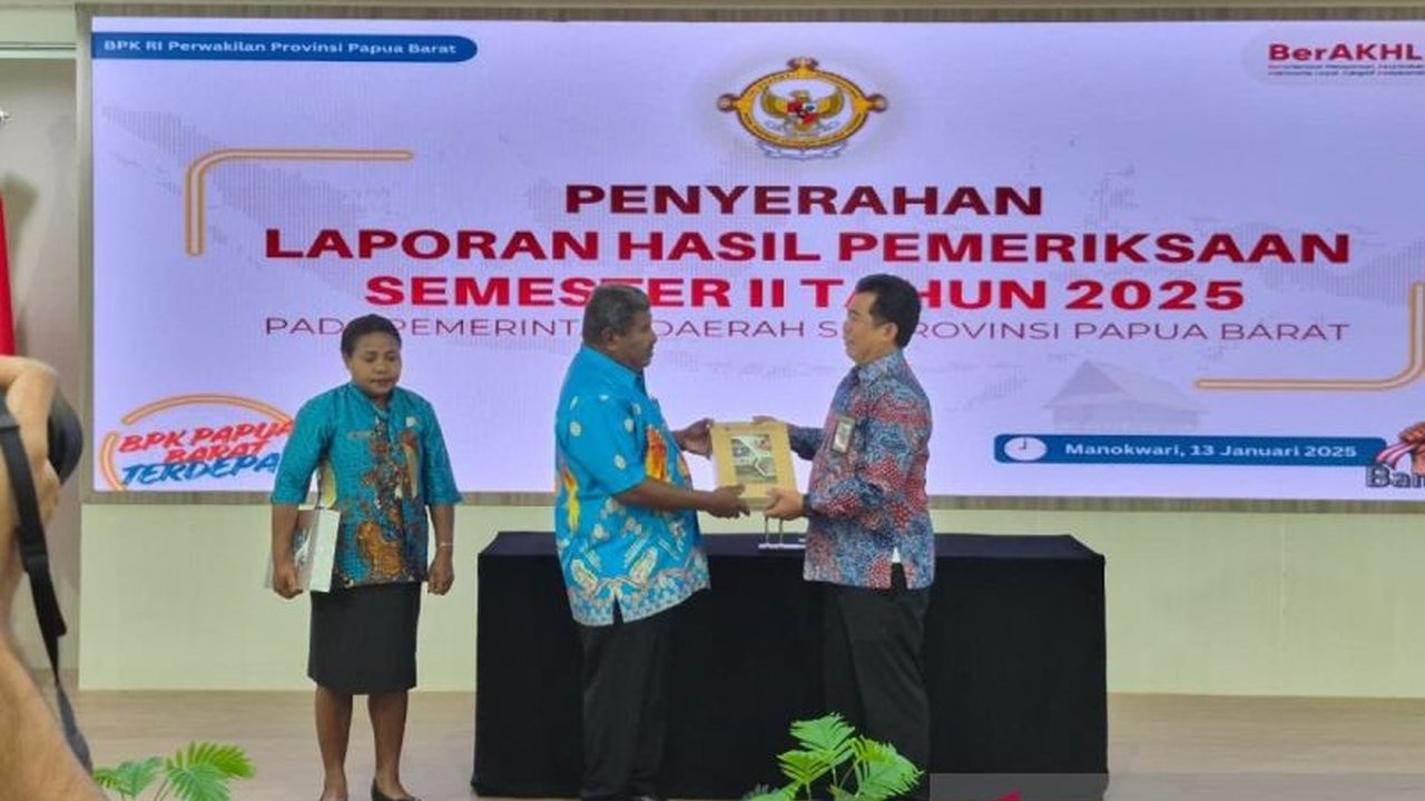 BPK Ungkap Masalah Kesehatan Signifikan di Teluk Wondama, Pelayanan JKN ...