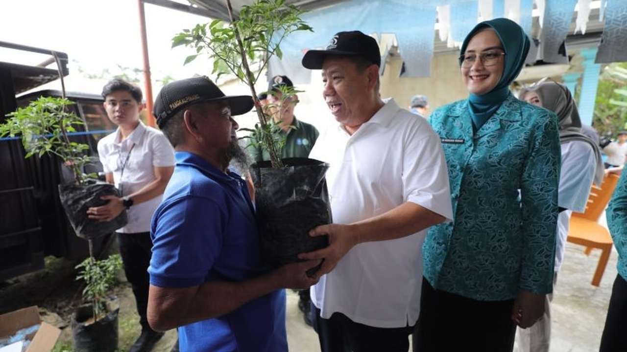 Gubernur Babel Bagikan Ratusan Ribu Bibit Cabai, Sukseskan Program ...