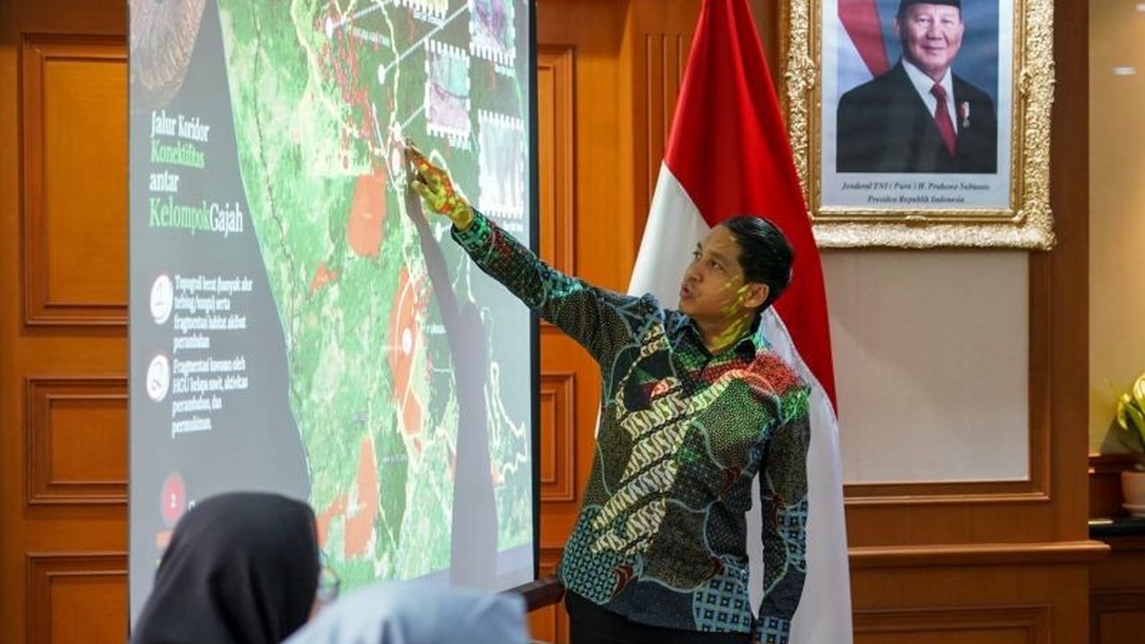 Penyelamatan Ekosistem Kantong Gajah: Komitmen Kuat Pemerintah Jaga ...