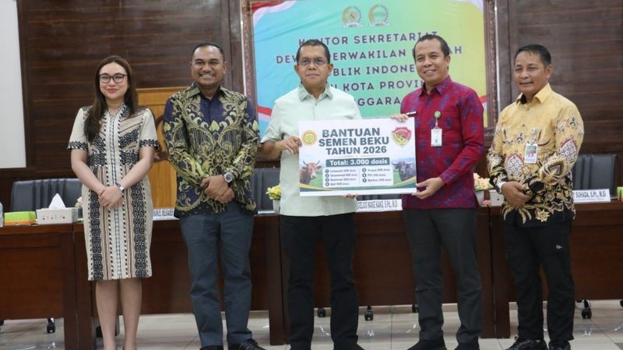NTT Perkuat Sektor Peternakan: 3.000 Dosis Semen Beku Sapi Tingkatkan ...