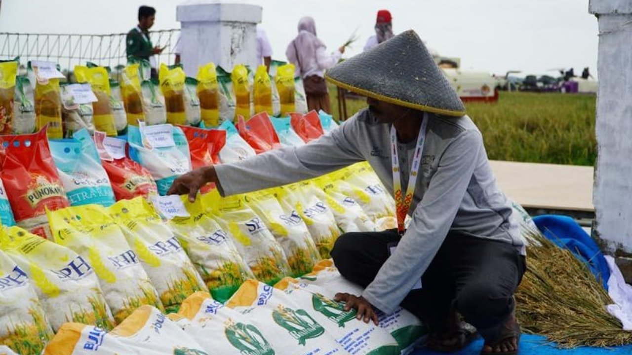 Bapanas Salurkan 7,7 Juta Ton Cadangan Beras Pemerintah (CBP) Sepanjang ...