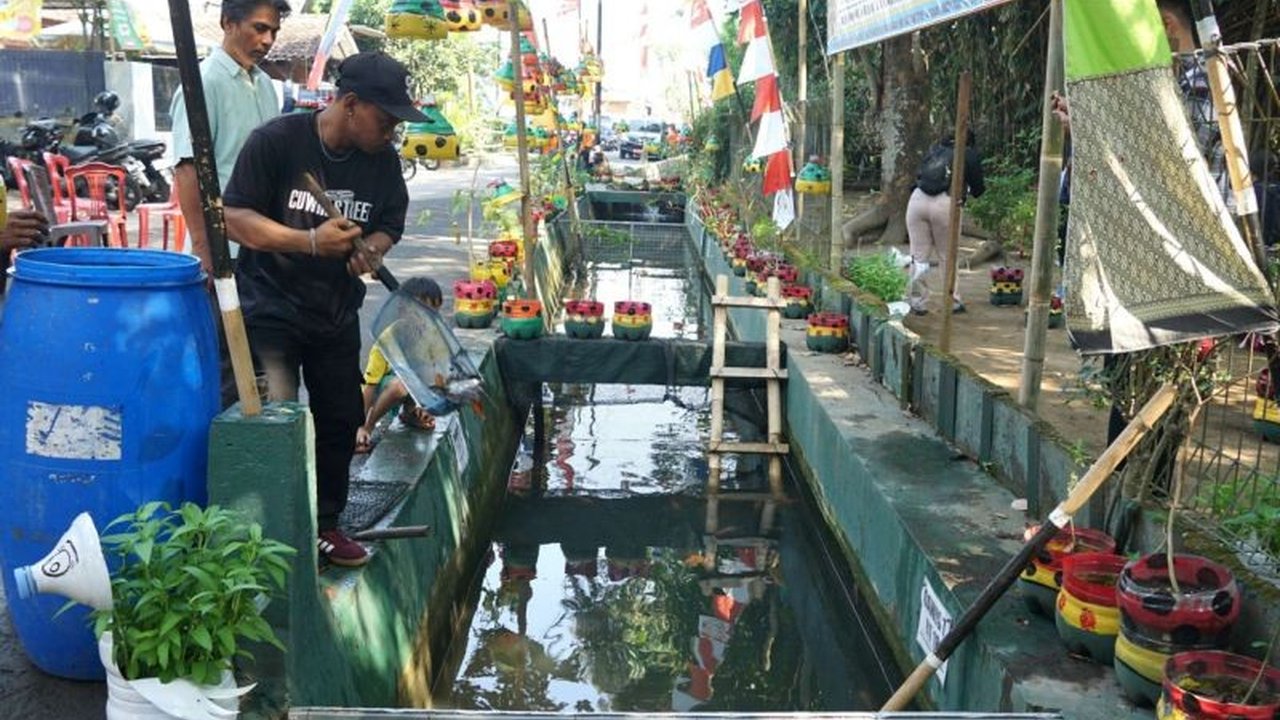 Wali Kota Yogyakarta Dorong Budi Daya Ikan Saluran Irigasi: Dukung ...
