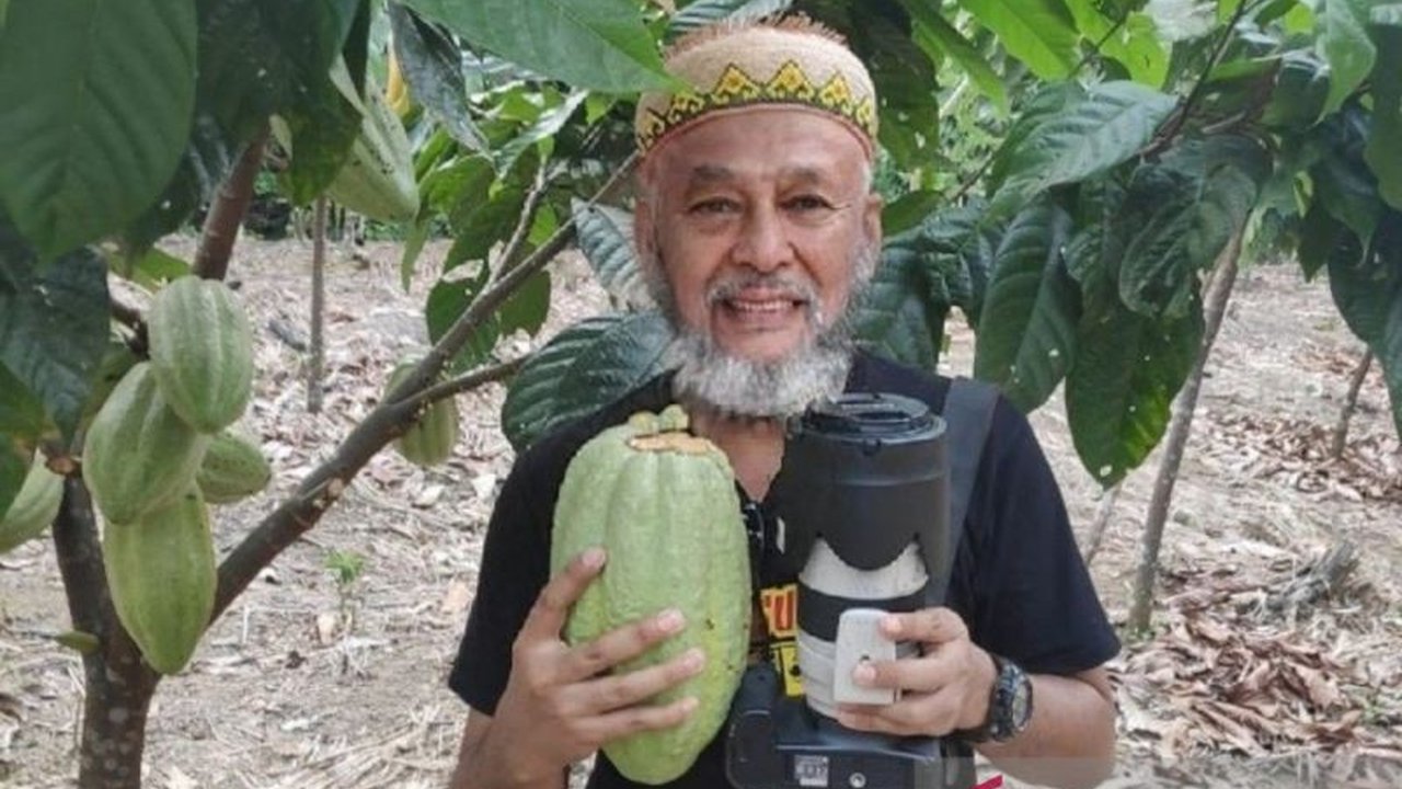 Emas Cokelat: Kakao Jadi Modal Baru Diversifikasi Ekonomi Berkelanjutan ...