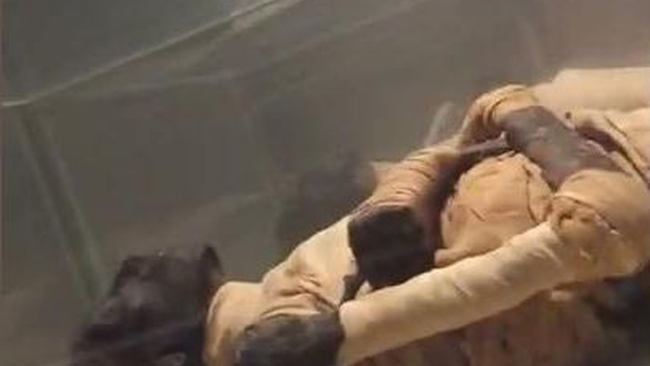 Begini Penampakan Mumi Firaun, Tersimpan Utuh di Museum Mesir
