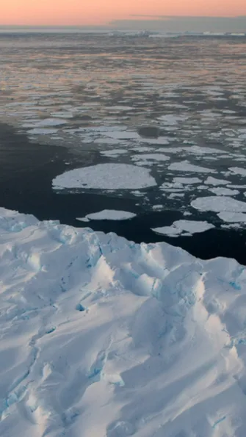 Antarctic Sea Ice is Shrinking Drastically. What are the Consequences ...