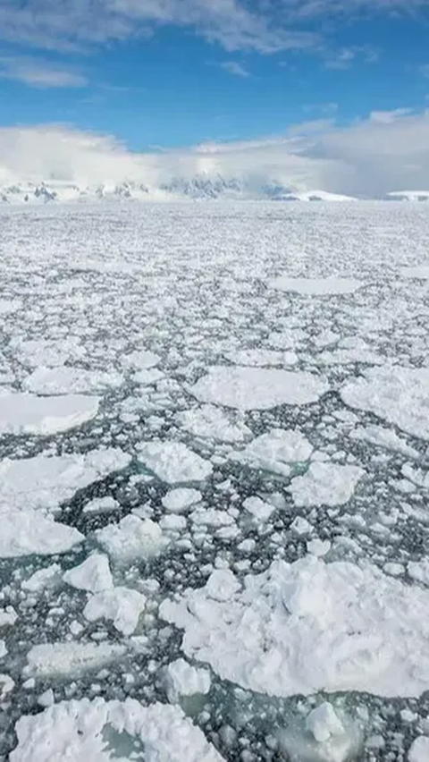 Antarctic Sea Ice is Shrinking Drastically. What are the Consequences ...