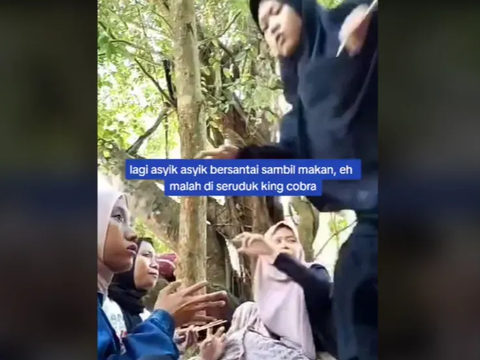 Makan di Bawah Pohon, Segerombolan Perempuan Ini Diseruduk Ular Kobra ...