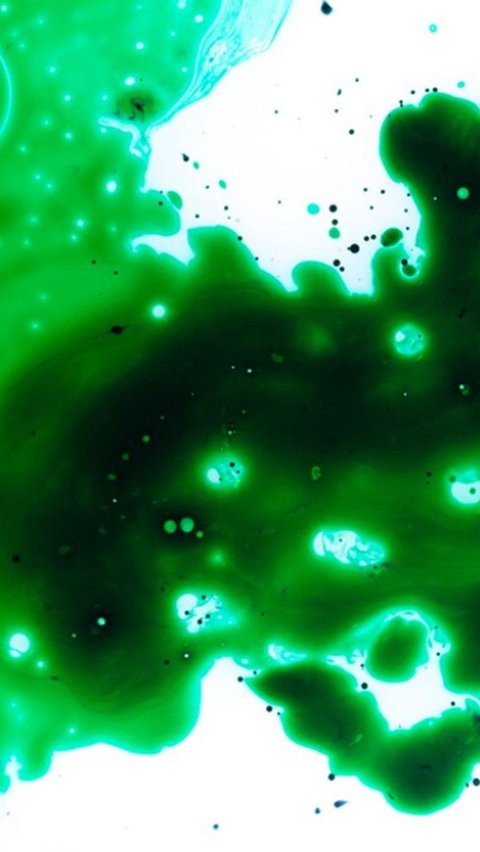 Genius Goo: This “Smart Slime” Can Solve Maze Puzzle! | trstdly ...