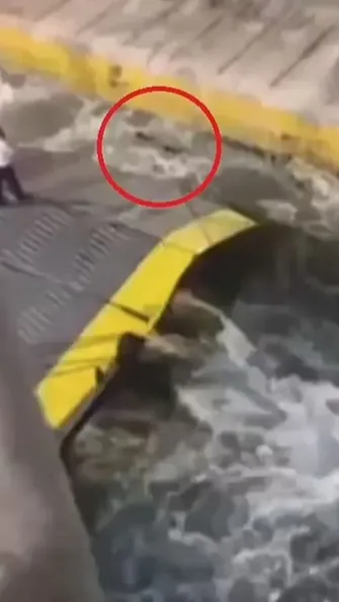 A Man Pushed into Sea to Death for Late Ferry Boarding | trstdly ...