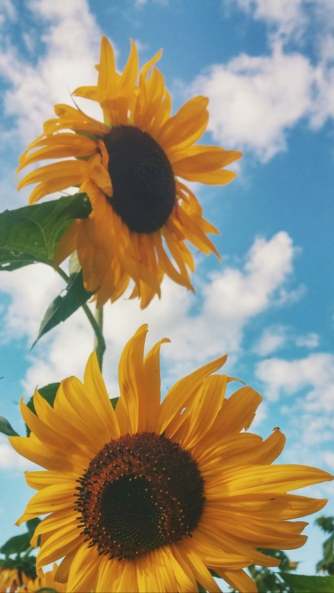 Beautiful Day Quotes: Uplifting Words to Find Beauty in Everyday Life ...