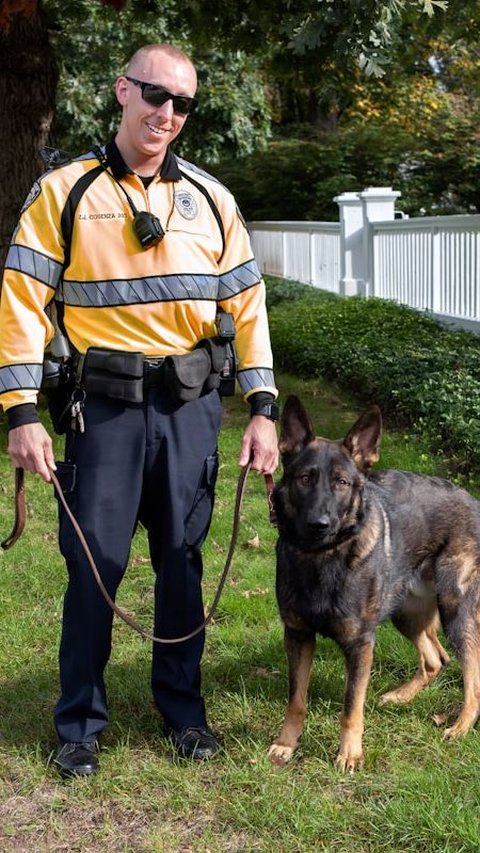 Top 9 Popular Police Dog Breeds Around the World | trstdly: trusted ...