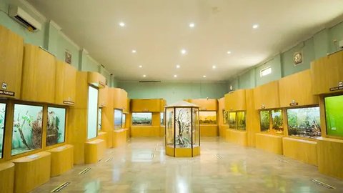 Renovasi Museum Zoologi Bogor Telah Rampung, Kini Tampil Lebih Modern ...