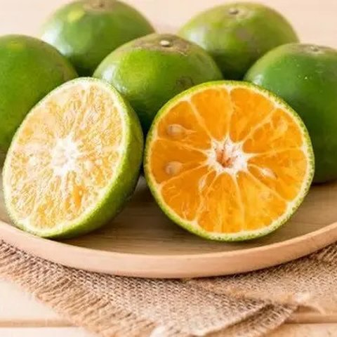 Bukan Bawang Putih, Ini Cara Efektif untuk Menyelamatkan Opor Ayam yang ...