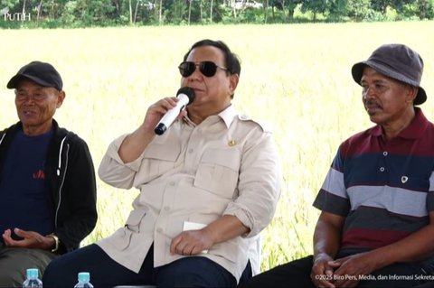 Mengulas Detail Manfaat Burung Hantu Bagi Petani Hingga Prabowo Mau Gelontorkan Duit Rp150 Juta ...