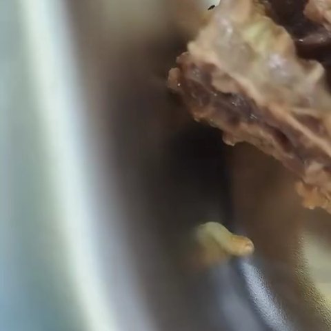 Viral Wadah MBG Siswa SMA di Tuban Ada Binatang Mirip Belatung, Ini Fakta Sebenarnya versi Camat ...