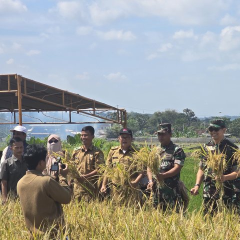 Kiprah Marsma TNI Samsul Rizal, Dari Pesawat Tempur hingga Menjadi ...