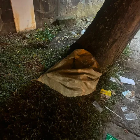 Viral Paspor Diduga Milik Jemaah Haji Berserakan di Halte Bus BSD ...