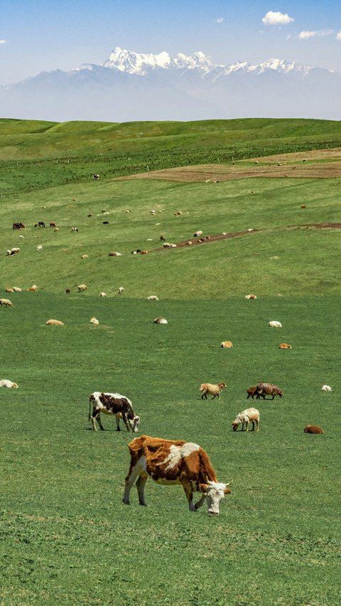 10 Fun Facts and Trivia About Sound Waves to Expand Your Knowledge ...