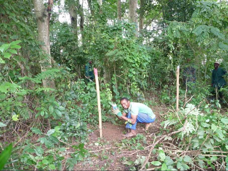 7 Strange and Creepy Sects from Across the Globe: The Dark Side of ...