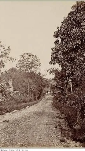 Potret Jalan Raya Puncak Bogor Zaman Dulu, Masih Tanah & Hutan Hanya ...