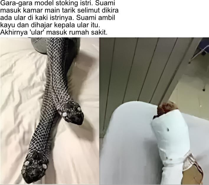 Momen Ngakak Salah Beli Barang Akibat Kurang Teliti saat Belanja Online Momen Ngakak Salah Beli Barang Akibat Kurang Teliti saat Belanja Online