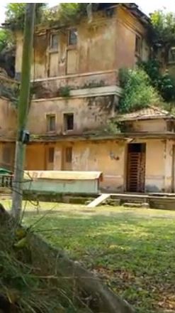 Menjelajahi Istana Gedung Kuning Semarang, Bangunan Megah Peninggalan ...