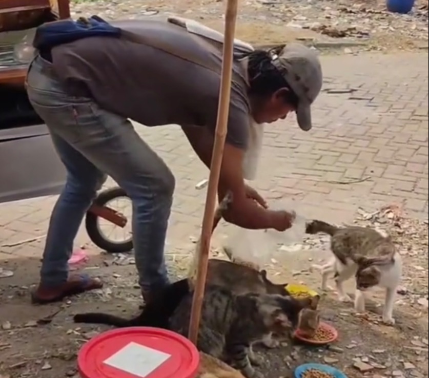 Viral Aksi Pedagang Siomay Rutin Beri Makan Kucing Jalanan, Warganet: Orang Kaya Sesungguhnya