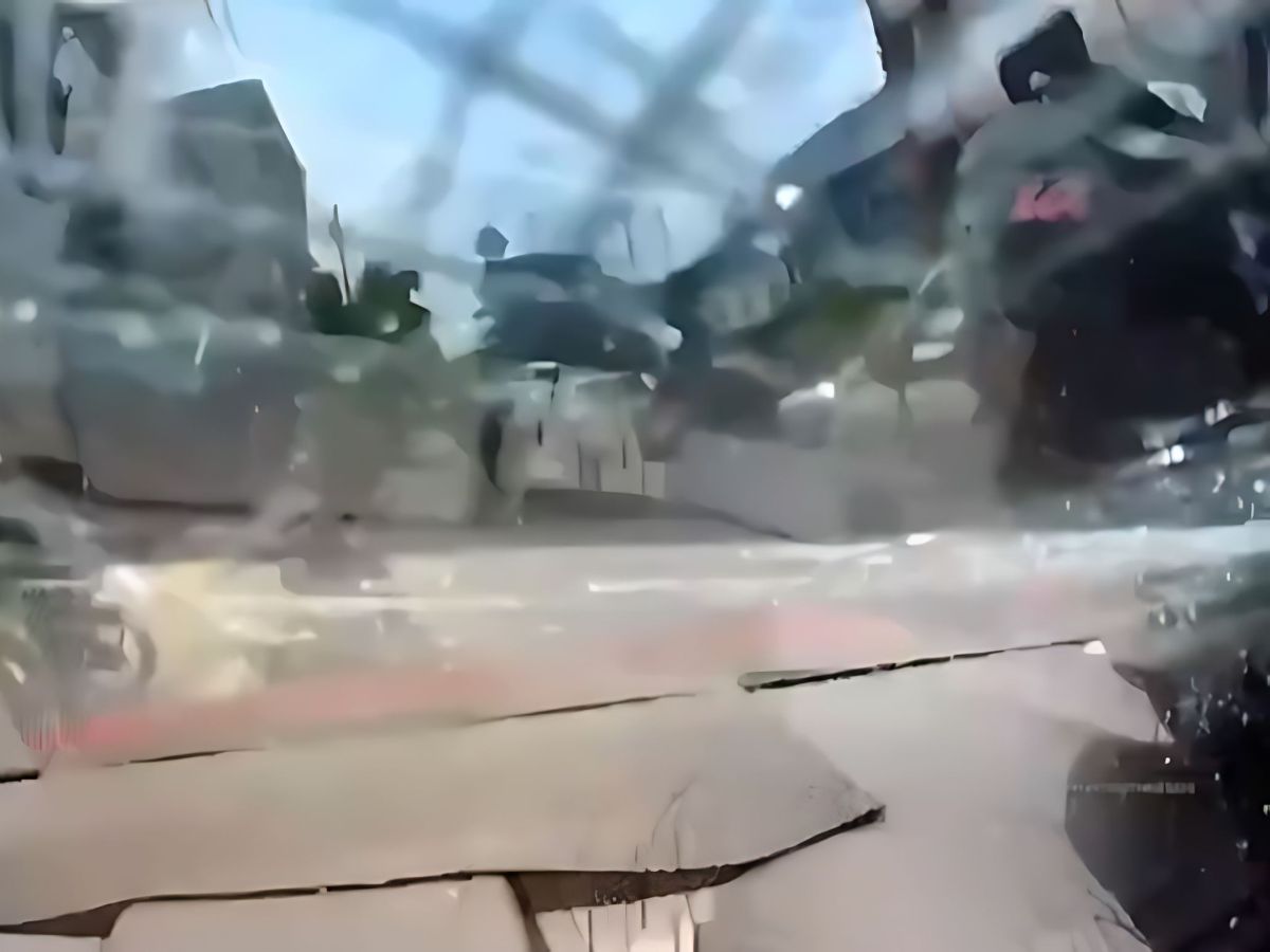 Viral Video Aksi Berani Pemotor Hancurkan Kaca Depan Mobil yang Klakson-klakson Saat Lalu Lintas ...