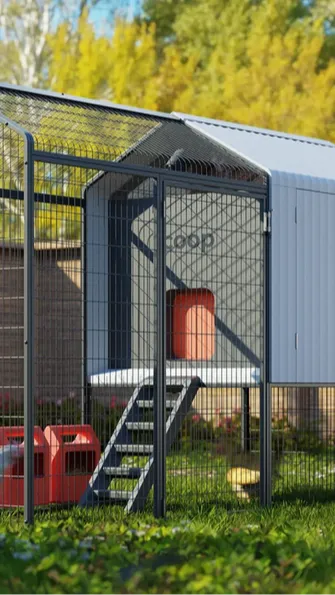 AI-Based Cage Can 'Translate' Chicken Chatter | trstdly.com