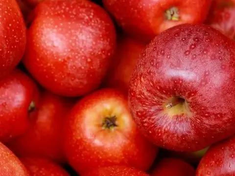 Wajib Tahu! 10 Jenis Buah yang Bagus Untuk Pengidap Penyakit Jantung