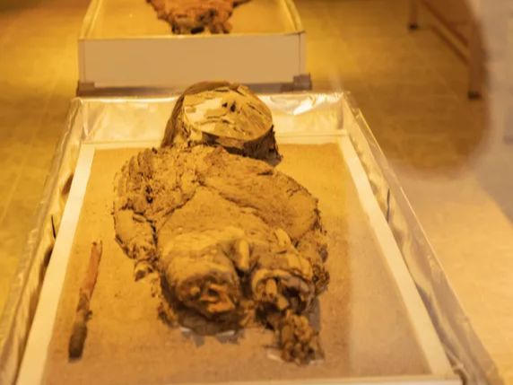 Ternyata Mumi Tertua di Dunia Bukan dari Mesir, Bangsa Ini Lebih Dulu ...