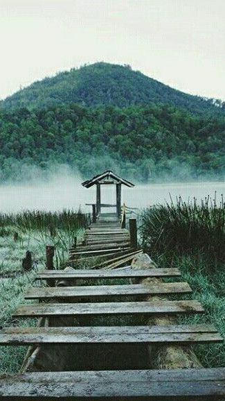 Mitos Gunung Argopuro, Tempat Bersemayam Dewi Rengganis hingga Hutan ...