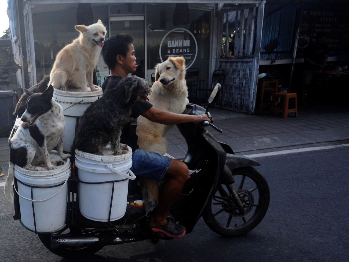 Kaleidoskop: Foto Terbaik Karya Fotografer merdeka 2023