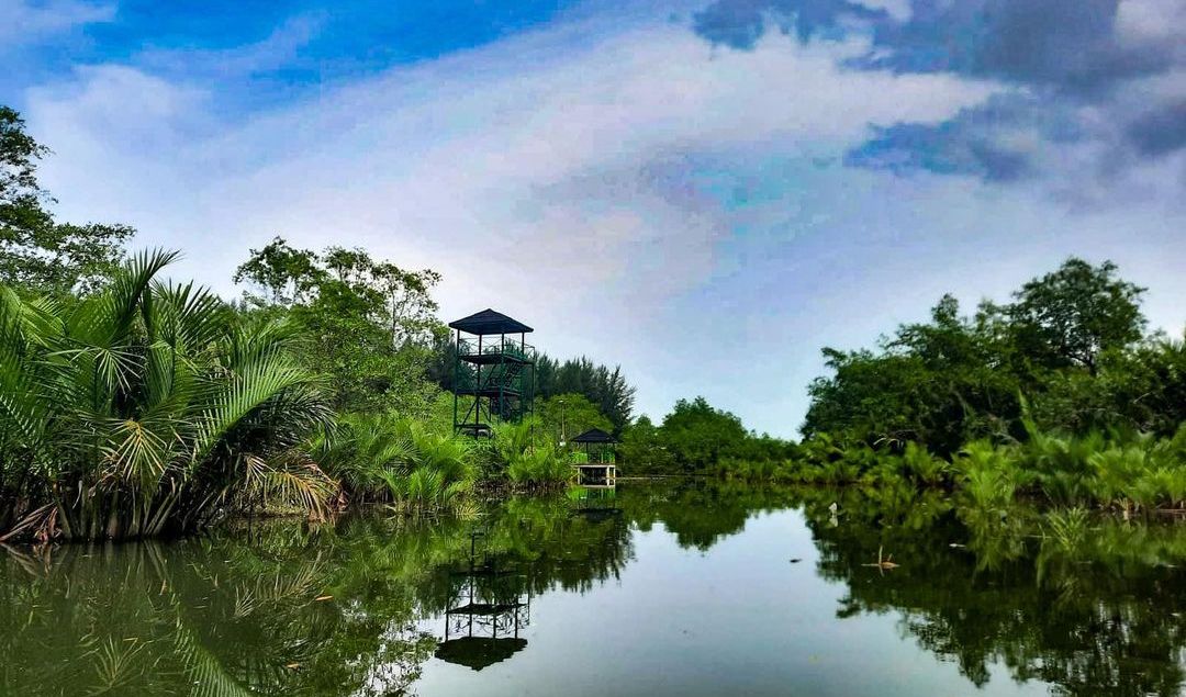 Punya Sekolah Tinggi Ilmu Beruk, Intip Fakta Unik Desa Wisata Apar di ...