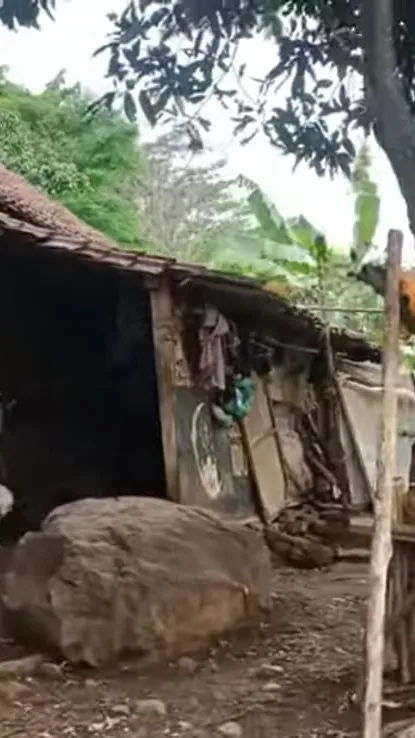 Kakek ini Keturunan Majapahit, Tinggal di Hutan Masih Pegang Teguh Pesan Leluhur