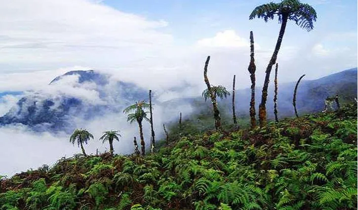 Mental Dibina, Fisik Dianiaya, Inilah Fakta Gunung Binaiya!