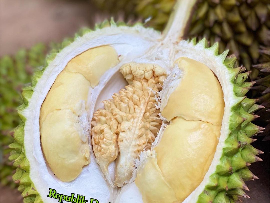 Potret Unik Durian Kembang Senduro Lumajang, Ada Bunga di Tengah Daging Buah