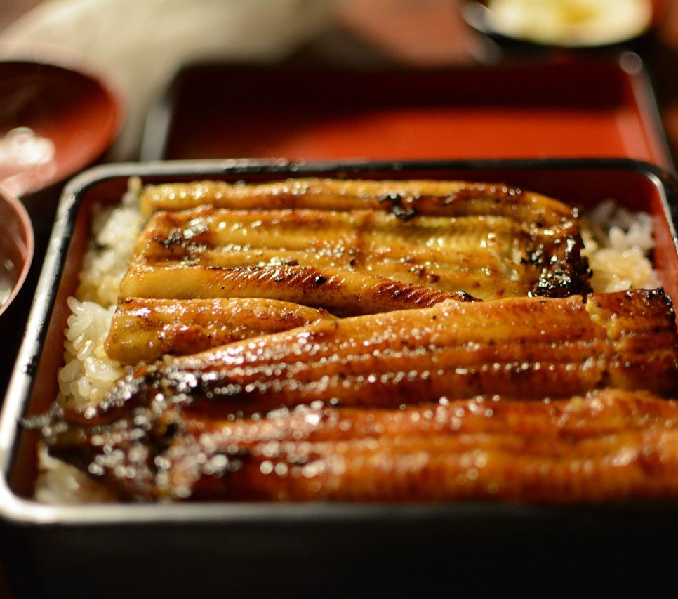 Mengenal Unagi Cilacap, Produk Lokal yang Diekspor sampai ke Jepang