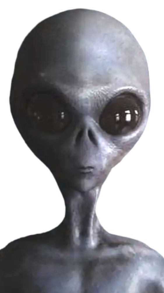 Tengkorak Kuno Berusia 1608 Tahun Ditemukan di Krosia, Bentuknya Mirip ...