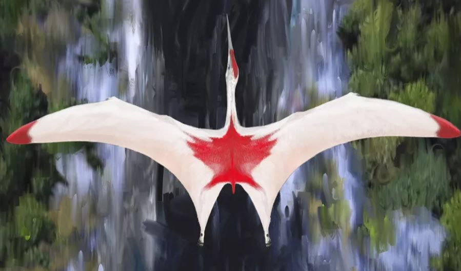 Makhluk Sebesar Pesawat Ini Terbang di Langit Kanada 77 Juta Tahun Lalu ...