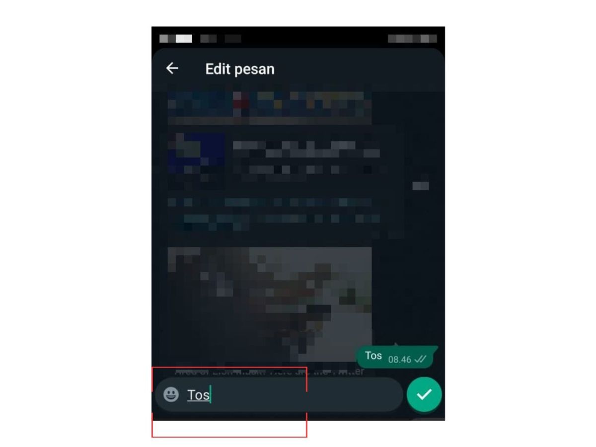 Cara Edit Pesan WhatsApp yang Sudah Dikirim dengan Mudah, Berikut Langkah-langkahnya