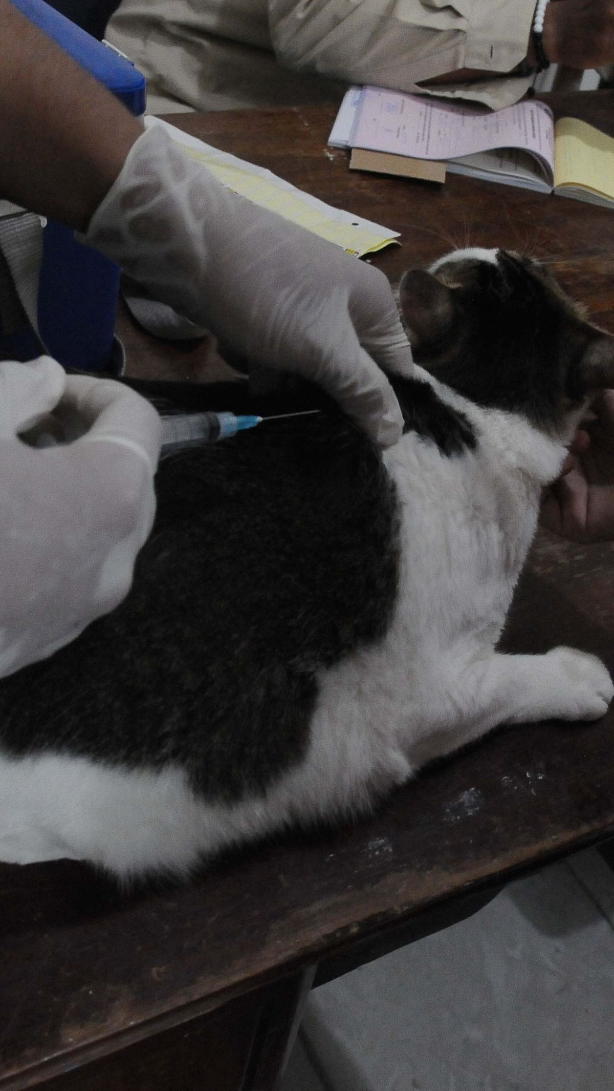 FOTO: Suntikan Vaksin Anti Virus Terus Digencarkan Pemprov DKI Jakarta ...