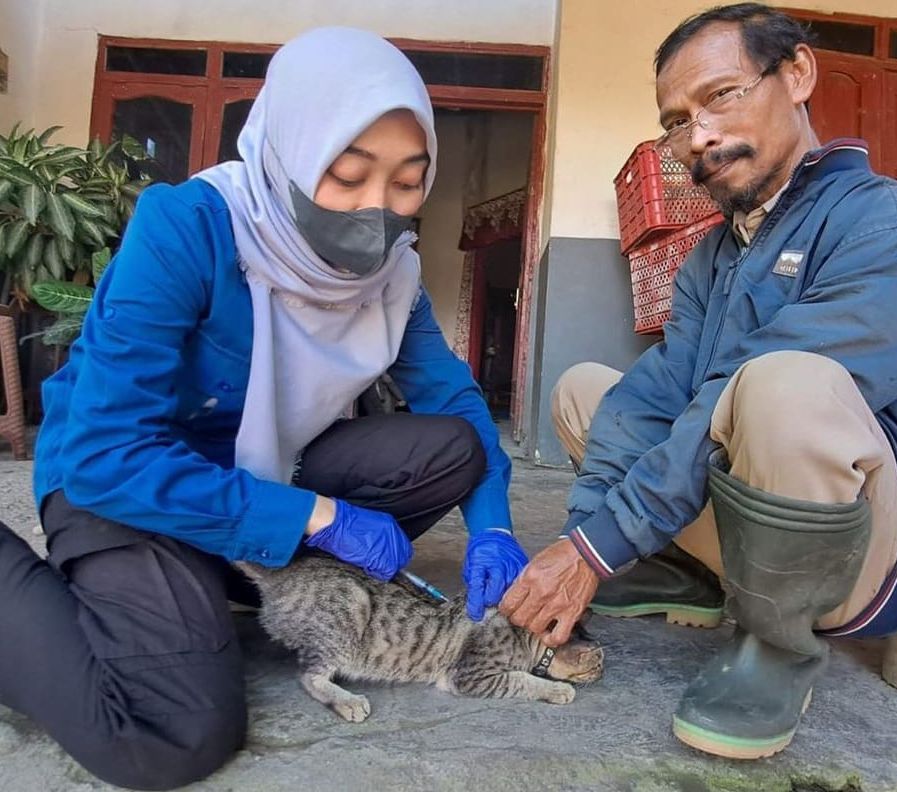 Minimalisir Risiko Rabies, Banyuwangi Vaksin Anjing dan Kucing di ...