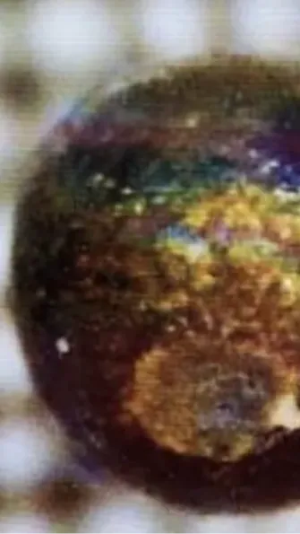 Harvard Professor Explains Technological Findings from a Meteorite ... Harvard Professor Explains Technological Findings from a Meteorite ...