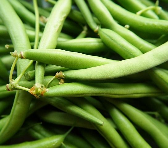 Resep Buncis Berbagai Olahan, Menu Sederhana Menyehatkan