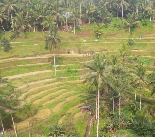 Potret Bali Kini di Mata Para Turis: Macet, Sampah dan Pembangunan Semrawut Potret Bali Kini di Mata Para Turis: Macet, Sampah dan Pembangunan Semrawut
