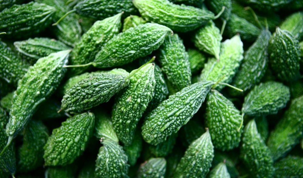 Manfaat Air Pare untuk Kesehatan, Turunkan Berat Badan Hingga Kadar ...