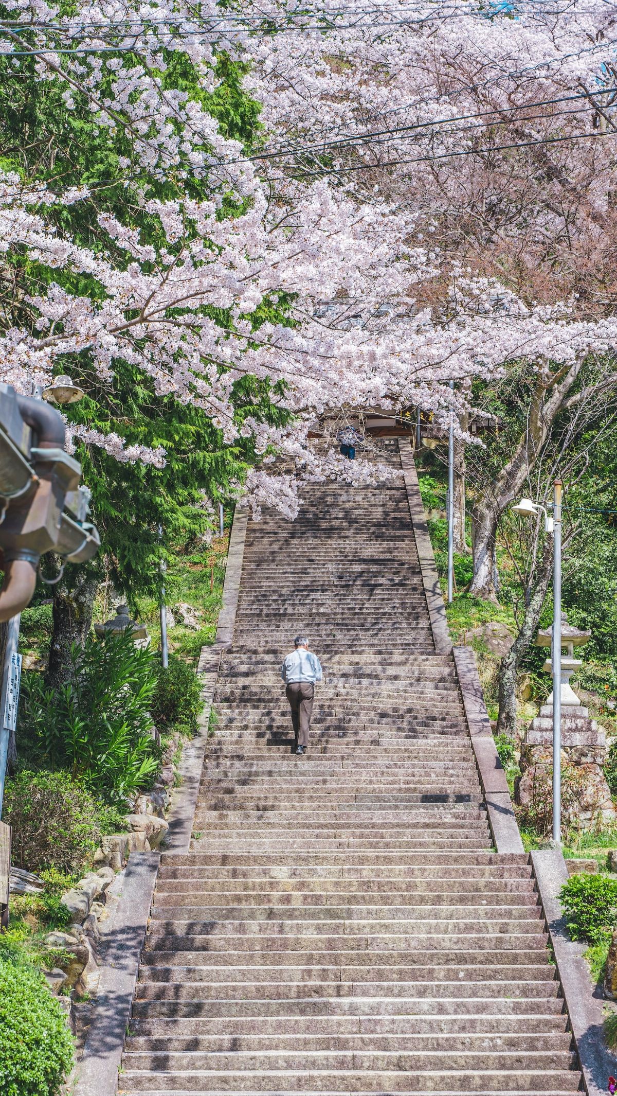Mengenal 4 Pilar Ikigai, Filosofi Hidup 3000 Tahun dari Jepang dan ...